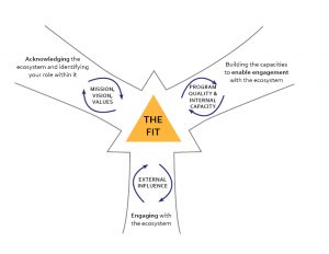 Using an Ecosystem Approach to Define Nonprofit Strategy - TCC Group